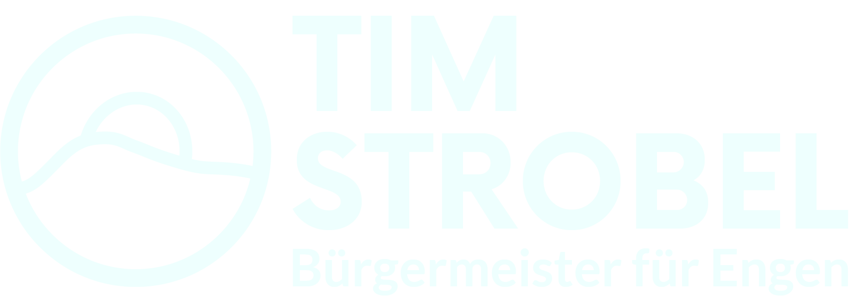 Datenschutzerklärung - Tim Strobel